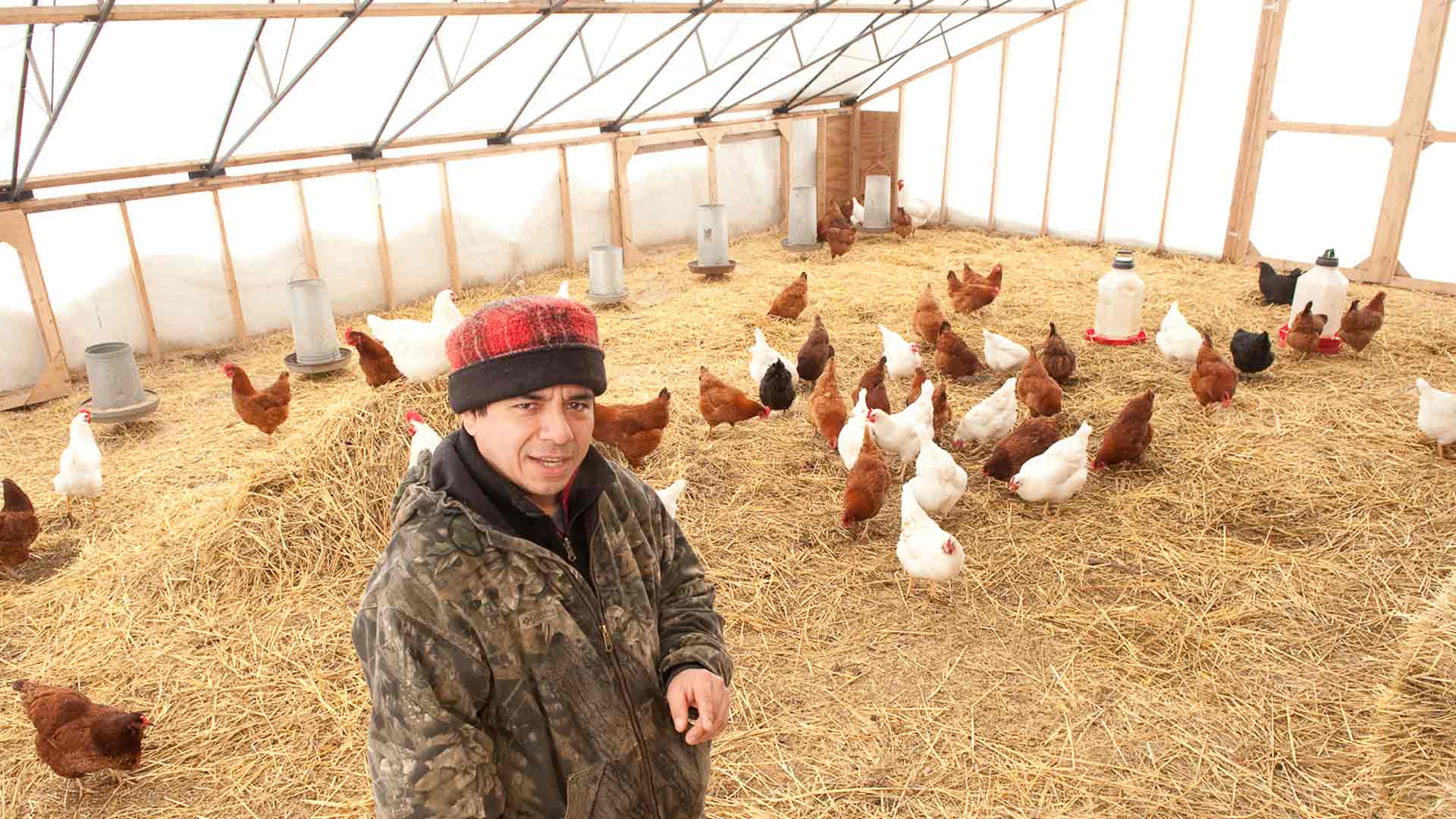 Rural Cooperative Development Center - AURI