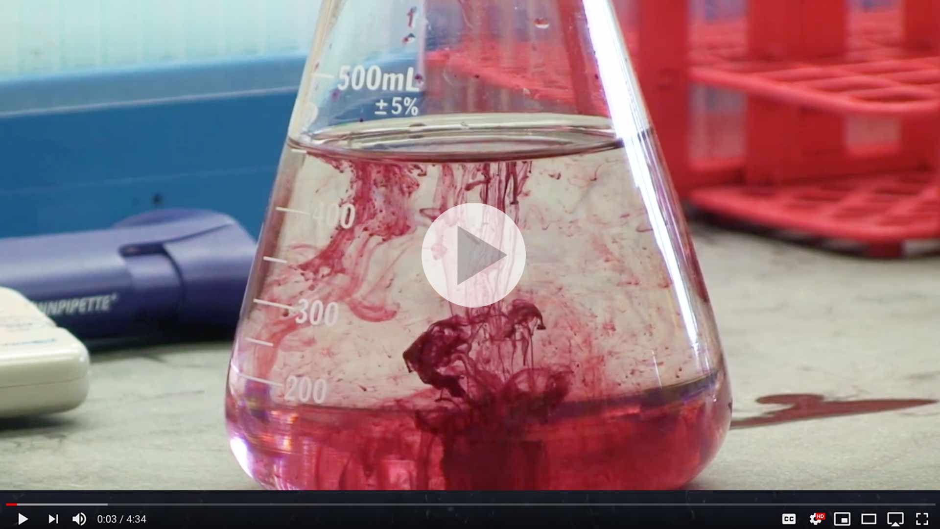 AURI & Suntava - AURI