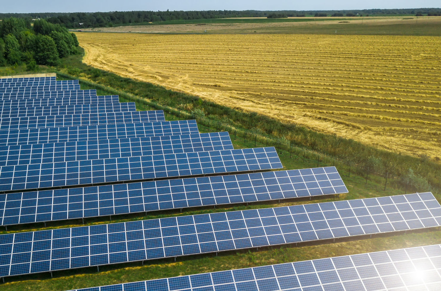 Fields of Innovation: Solar Farm to Table - AURI