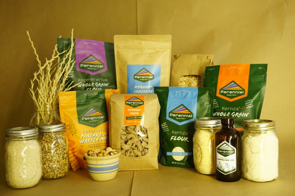 FOI Innovator Profile - Perennial Pantry - AURI