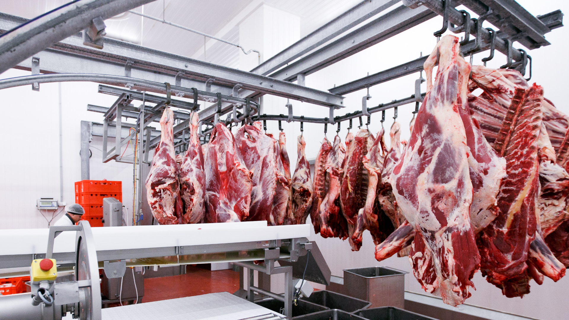 Financing A Meat Processing Facility (Webinar) - AURI