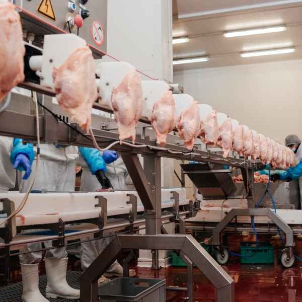 Meat Science Endeavors - AURI