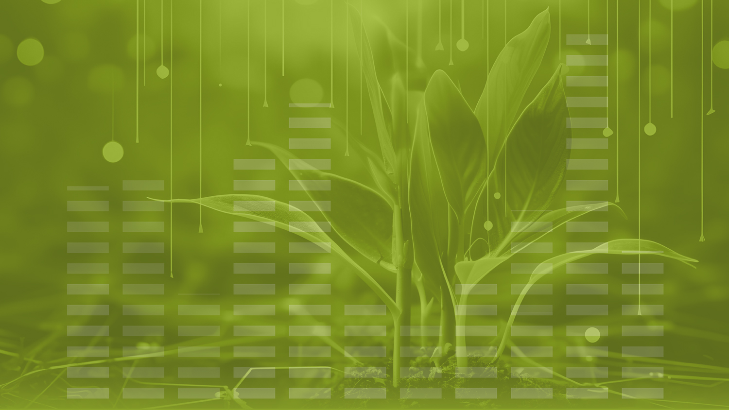 How AURI Can Help Your Food Business - AURI